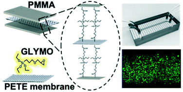 Robust chemical bonding of PMMA microfluidic devices to porous PETE ...