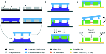 A microfluidic device for both on-chip dialysis protein crystallization ...