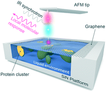 Synchrotron infrared nanospectroscopy on a graphene chip - Lab on a ...