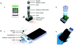 Development and evaluation of inexpensive automated deep learning-based ...