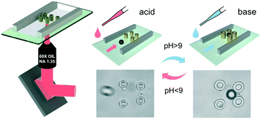 Tunable microfluidic device fabricated by femtosecond structured light ...