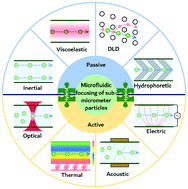 Focusing of sub-micrometer particles in microfluidic devices - Lab on a ...