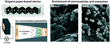Origami-paper-based device for microvesicle/exosome preconcentration ...