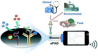 Electrochemical paper-based devices: sensing approaches and progress ...