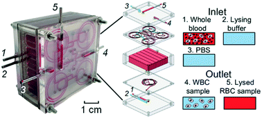 Inertial microfluidic cube for automatic and fast extraction of white ...