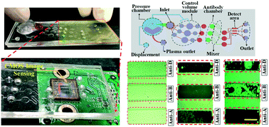 Finger-powered agglutination lab chip with CMOS image sensing for rapid ...