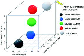 Application of microphysiological systems in biopharmaceutical research ...