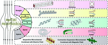 Computational inertial microfluidics: a review - Lab on a Chip (RSC ...