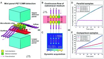 Pet Scanner Diagram Requirements Of Scintillation Crystals With The
