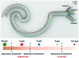 Dynamically tunable elasto-inertial particle focusing and sorting in microfluidics - Lab on a ...