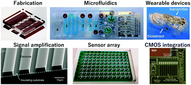 Microfabricated electrochemical sensing devices - Lab on a Chip (RSC ...