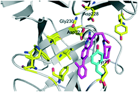 Expansion of the structure–activity relationships of BACE1 inhibitors ...