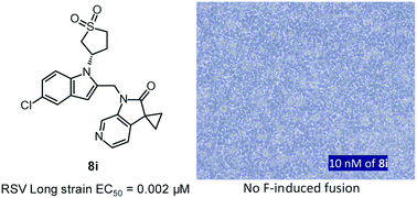 Discovery of (aza)indole derivatives as novel respiratory syncytial ...