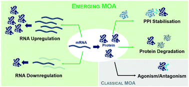Emerging modes-of-action in drug discovery - MedChemComm (RSC Publishing)