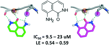 Discovery of a novel kinase hinge binder fragment by dynamic undocking - RSC Medicinal Chemistry ...
