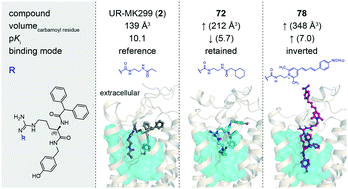 Argininamide-type neuropeptide Y Y1 receptor antagonists: the nature of ...