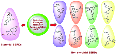 Recent progress in selective estrogen receptor downregulators (SERDs ...