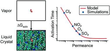 Molecular simulations of analyte partitioning and diffusion in liquid ...