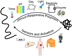 Stimuli-responsive polymers for sensing and actuation - Materials ...