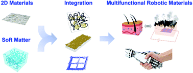Recent advances in integration of 2D materials with soft matter for ...