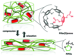 High compression strength single network hydrogels with pillar[5]arene ...