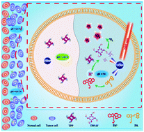 Reconstructing the intracellular pH microenvironment for enhancing ...