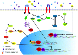 Bis(ethylmaltolato)oxidovanadium(iv) inhibited the pathogenesis of ...