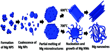 Substrate-independent and catalyst-free synthesis of magnesium ...