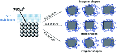 The role of polyvinylpyrrolidone (PVP) as a capping and structure ...