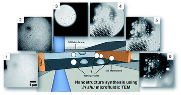 Synthesis of complex rare earth nanostructures using in situ liquid cell transmission electron ...