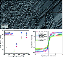 Iron oxide-based nanostructured ceramics with tailored magnetic and ...