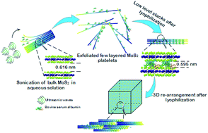 ‘Template-free’ hierarchical MoS2 foam as a sustainable ‘green ...
