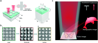 Full-visible multifunctional aluminium metasurfaces by in situ ...