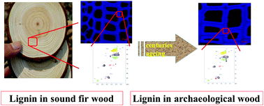 Lignin Wood