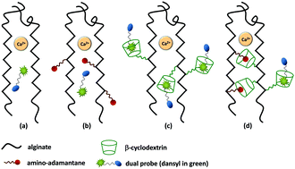 New flexible molecular probes bearing dansyl and TEMPO moieties for ...