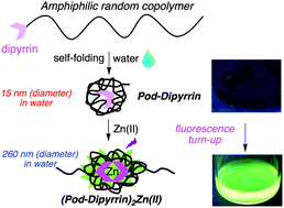 Self-assembly with fluorescence readout in a free base dipyrrin–polymer ...