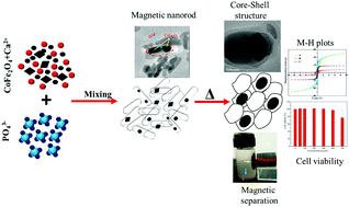 Fabrication of core–shell CoFe2O4@HAp nanoparticles: a novel magnetic platform for biomedical ...