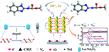A novel low-dimensional heteroatom doped Nd2O3 nanostructure for ...