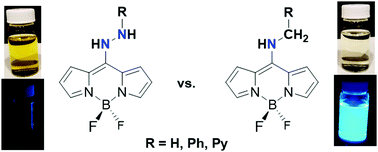 Synthesis and characterization of hydrazine-appended BODIPY dyes and ...