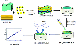 A flower-structured MoS2-decorated f-MWCNTs/ZnO hybrid nanocomposite ...