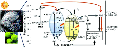 Uniform flower-like BiOBr/BiOI prepared by a new method: visible-light ...