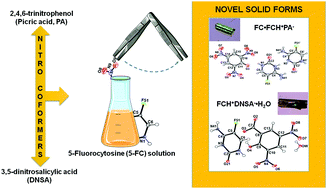 Supramolecular synthesis and characterization of crystalline solids ...