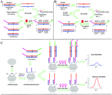 Ligase chain reaction-based electrochemical biosensor for the ultrasensitive and specific ...