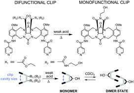 Synthesis of a monofunctional glycoluril molecular clip via cyclic ...