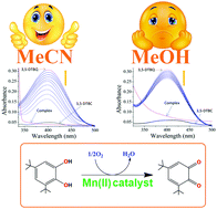 Exploring solvent dependent catecholase activity in transition metal ...