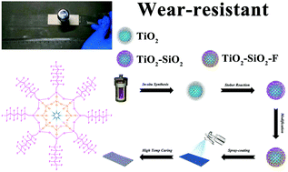 Wear-resistant and robust superamphiphobic coatings with hierarchical ...