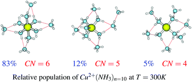 Structures of the solvated copper(ii) ion in ammonia at various ...