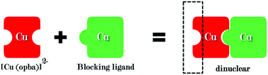 Dinuclear copper(ii) complexes containing oxamate and blocking ligands ...