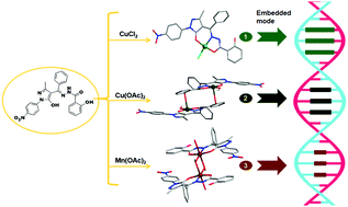 Tuned structure and DNA binding properties of metal complexes based on ...