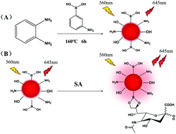 Label-free fluorescence assay based on near-infrared B,N-doped carbon ...
